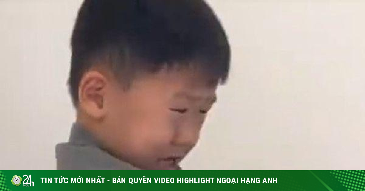 Clip cậu bé khóc van xin mèo cưng đừng rụng lông thu hút 8 triệu lượt xem