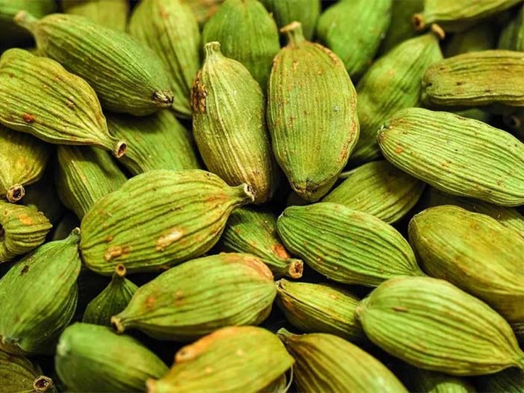 Loại hạt đắt đỏ bậc nhất thế giới, giá tận 2 triệu/kg không ngờ có đầy ...