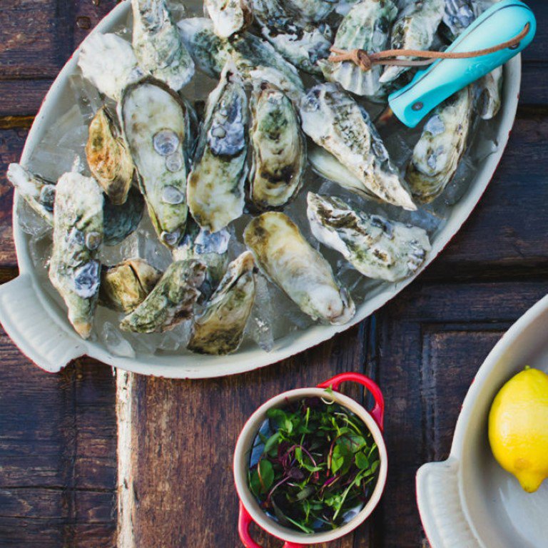 Mách chàng 8 loại cá thơm ngon, tốt nhất để ăn