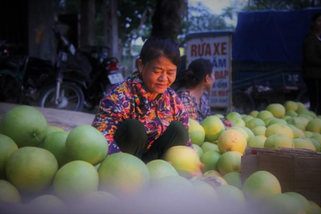 Bưởi đặc sản vào vụ, trăm người soi đèn thức trắng bán ở chợ đêm