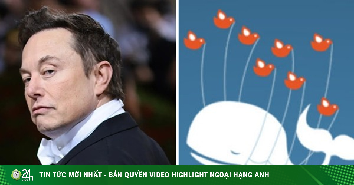 Người dùng Twitter than trời vì lỗi, Elon Musk ra thông báo nhưng bị ...