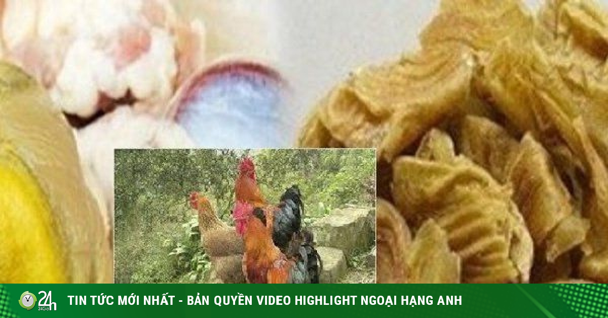 Bộ phận "đại bổ" của con gà, nhiều người không biết thường tiện tay vứt bỏ