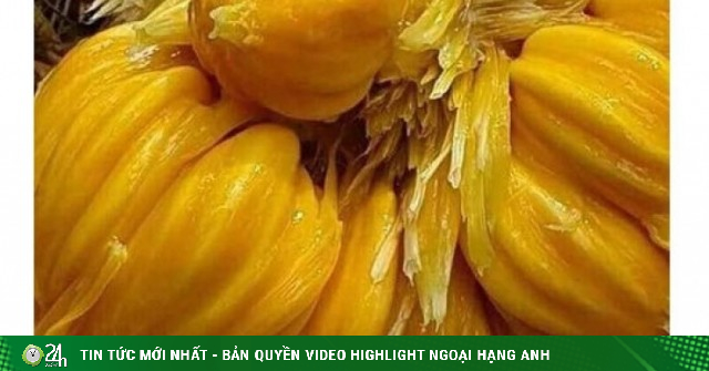 Loại mít "ngon nhất thế giới" tại Việt Nam đắt gấp 5 lần mít Thái