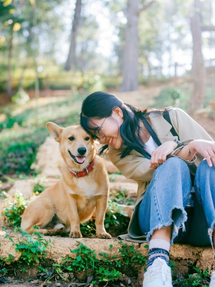 Cô gái rời TPHCM đến Đà Lạt thuê đất, dựng chốn thư giãn đẹp mê