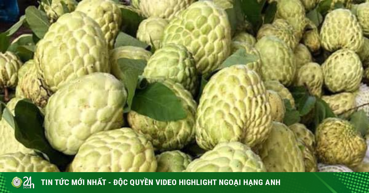 Quả na nặng 1kg "cháy hàng" vì ăn ngọt sắc, giá rẻ, mẫu mã đẹp