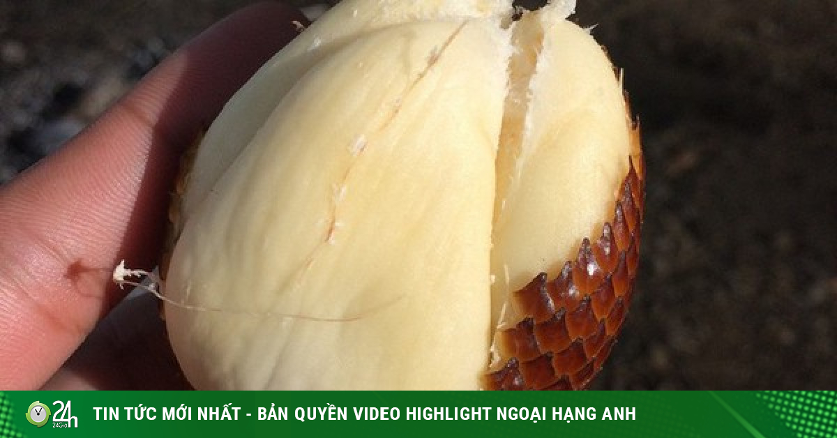 Loại quả lạ xù xì hệt da rắn ngỡ bỏ đi lại luôn cháy hàng dù giá tới ...