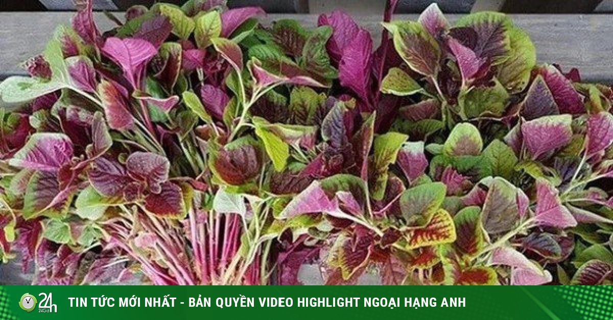 Những loại rau 'bổ hơn thịt' bán ngoài chợ giá rẻ bèo, nhiều người ...