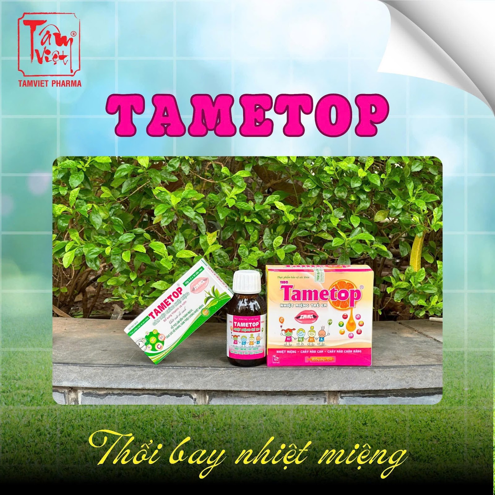 TAMETOP - Sự kết hợp hoàn hảo từ mật ong, rutin và vitamin giải pháp ...