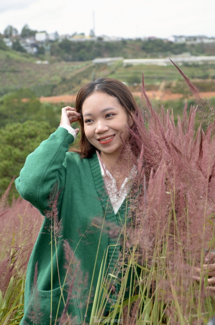 Đồi hoa cỏ lau hồng ở Đà Lạt nở rộ, đẹp như cổ tích
