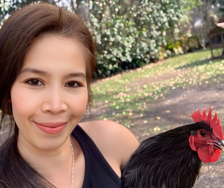 Mẹ Việt ở Mỹ nuôi gà như thú cưng, cho ăn cá hồi, hạt óc chó, thu trứng đủ màu